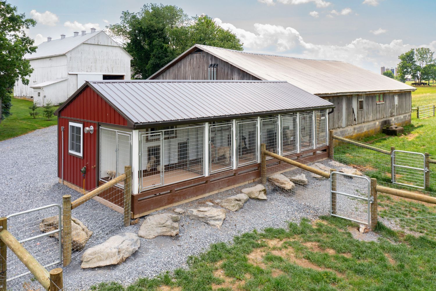 7 Best Dog Training Tips for Beginners | The Dog Kennel Collection