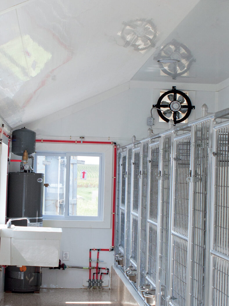 Amish-Made Custom Dog Kennels | Commercial Kennels for Dogs