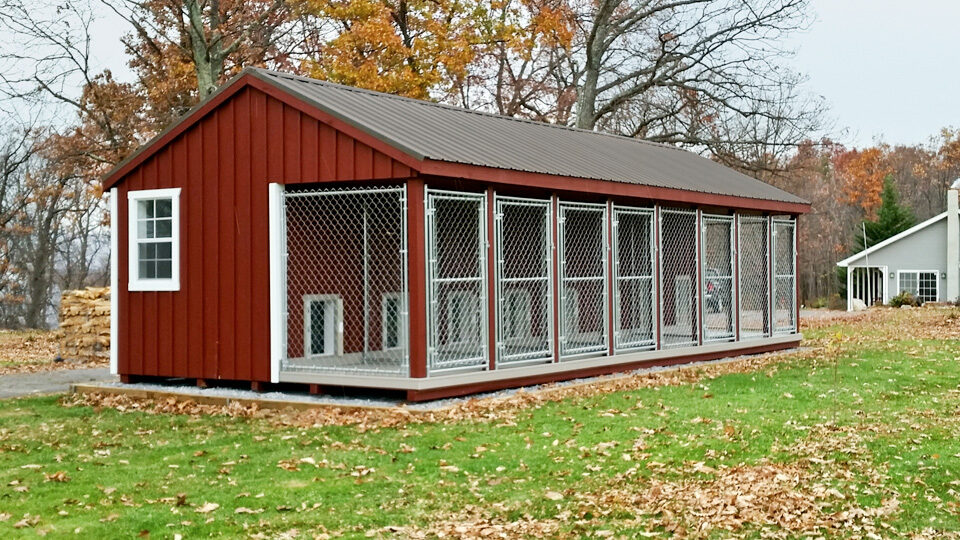 6 Types Of Heavy Duty Dog Kennels | Your Complete Guide