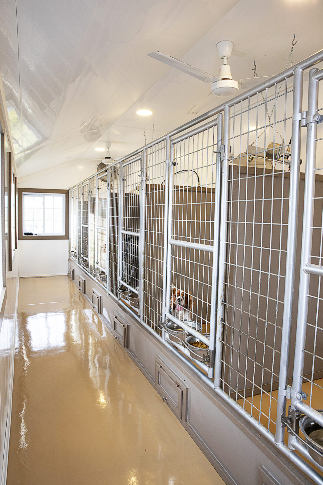 Commercial 14x24 Dog Kennel | The Dog Kennel Collection